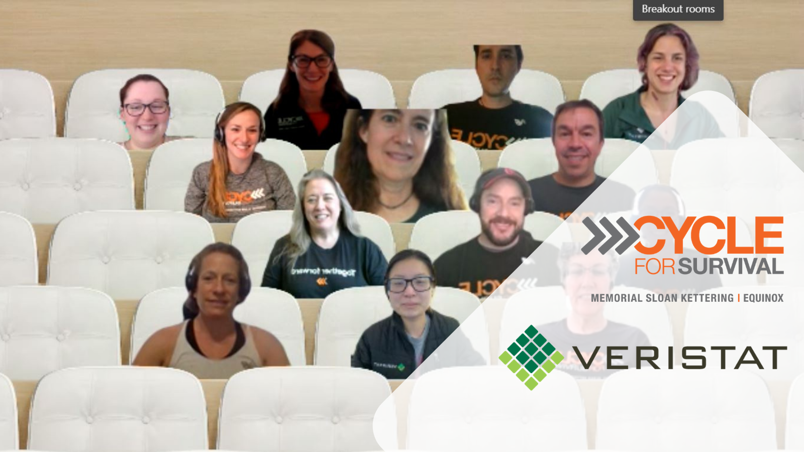 Veristat Raises >$350K For Rare Cancer Research